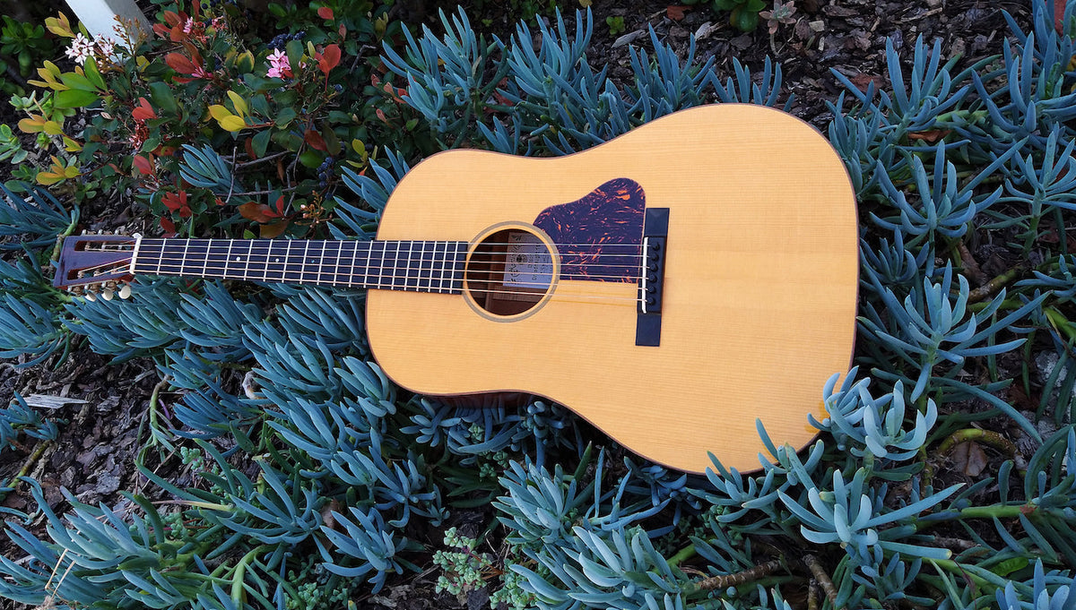 2006 Martin Ditson Model 111 Reissue – Moze Guitars