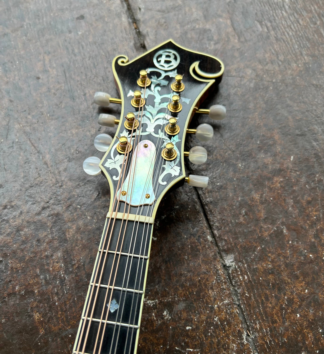 Bluett Brothers Mandolin – Moze Guitars
