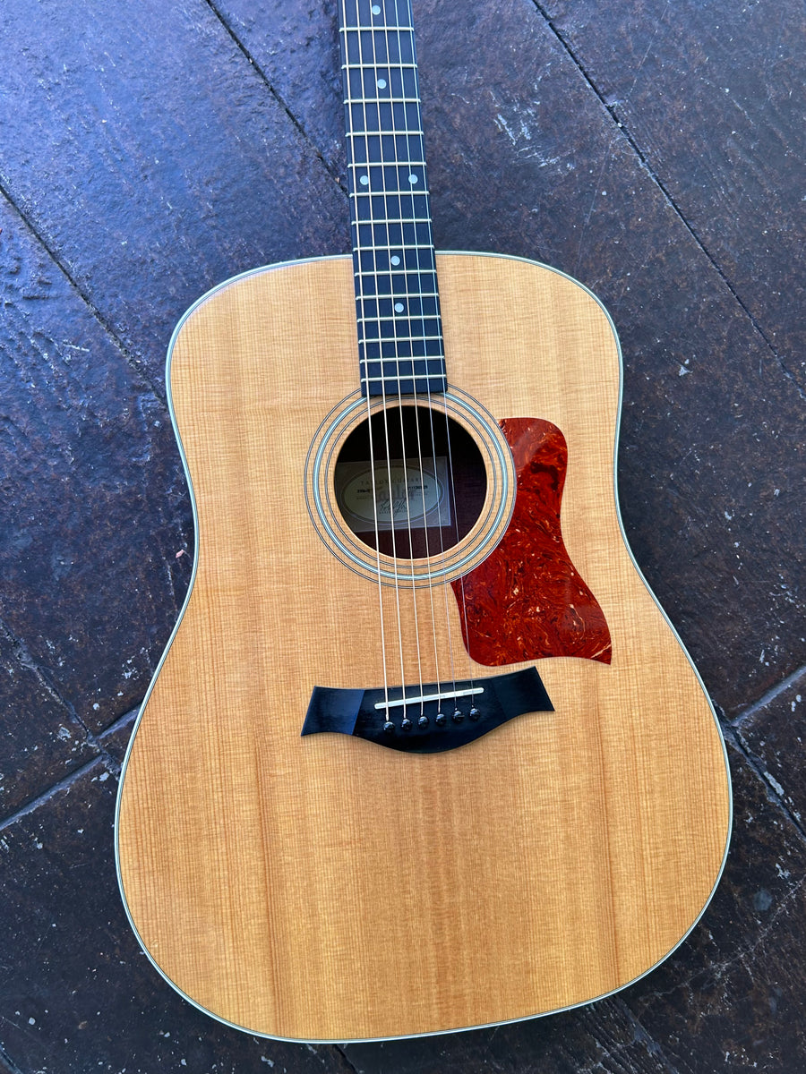 2010 Taylor 210e-G – Moze Guitars